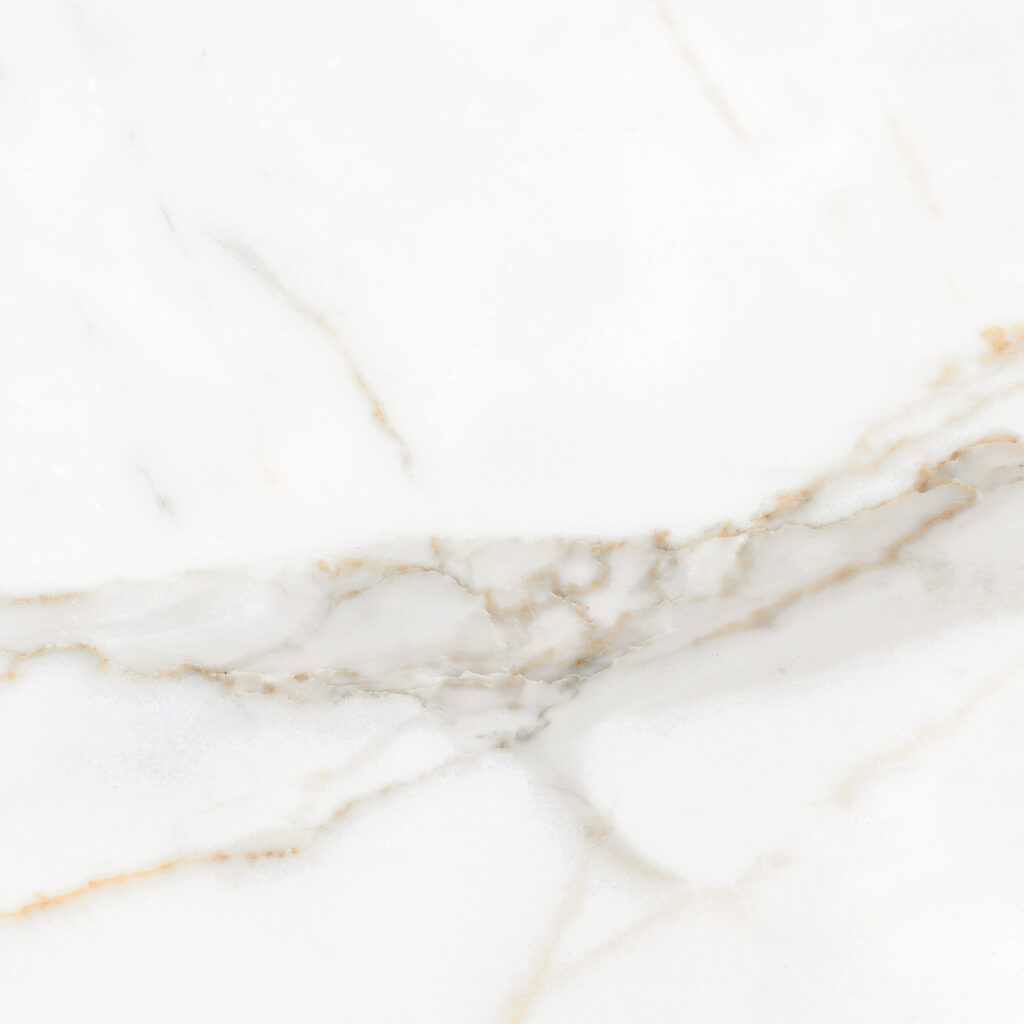 BLANCO WHITE - Builder's Bliss